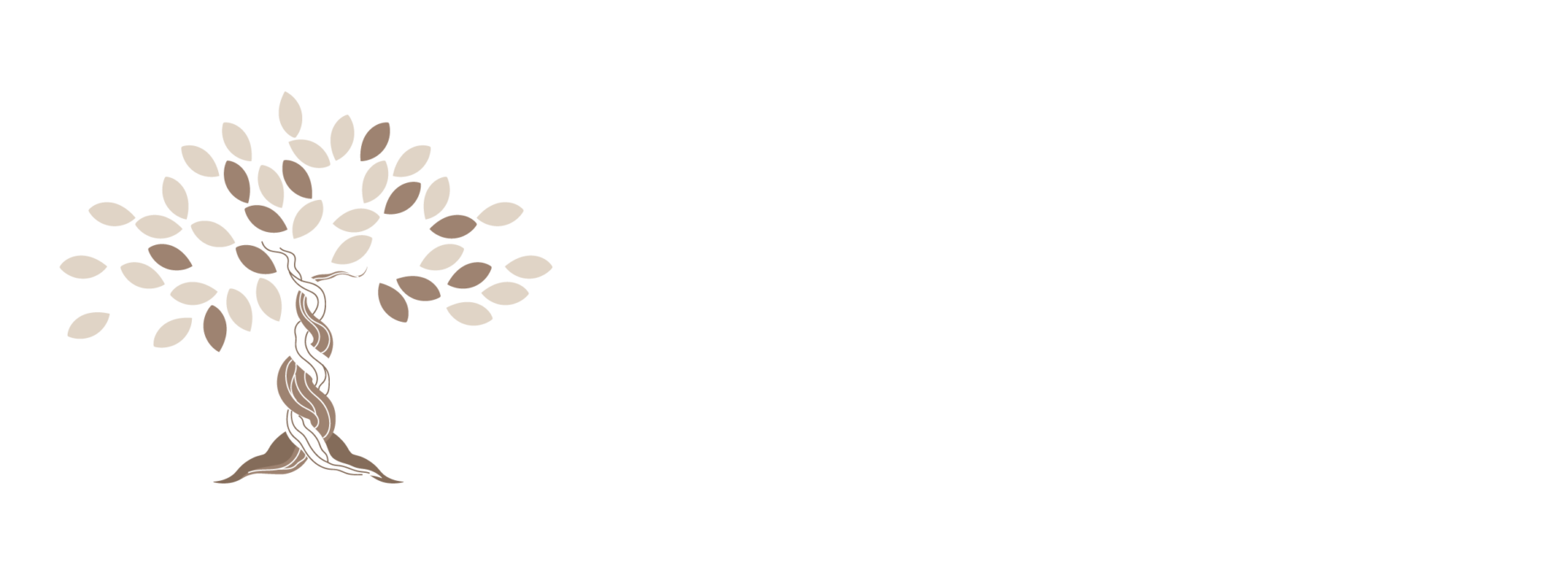 Holistic Educational Services And Tutoring | Helix Learning