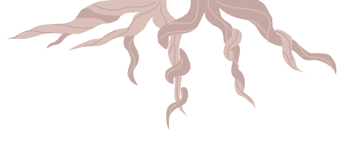 Holistic Educational Services And Tutoring | Helix Learning