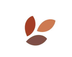 Holistic Educational Services And Tutoring | Helix Learning