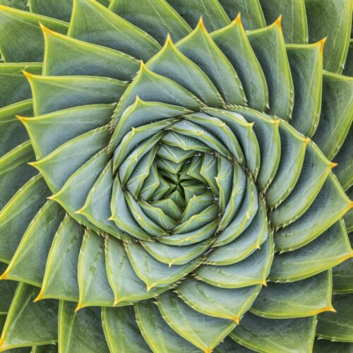 Holistic Educational Services And Tutoring | Helix Learning