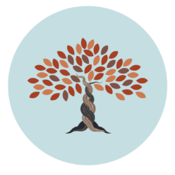 Holistic Educational Services And Tutoring | Helix Learning